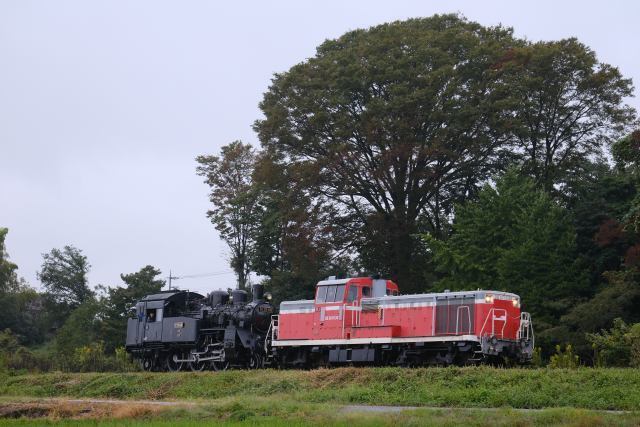 DE10とC12の重連回送、そして東武鉄道SLファンフェスタ: きまぐれ写真みち